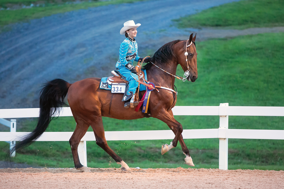 Events - Virginia Horse Center
